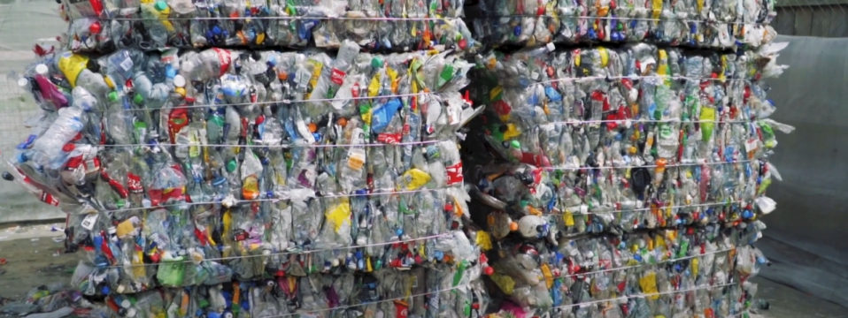 Container Return Scheme – Civic Trust Auckland