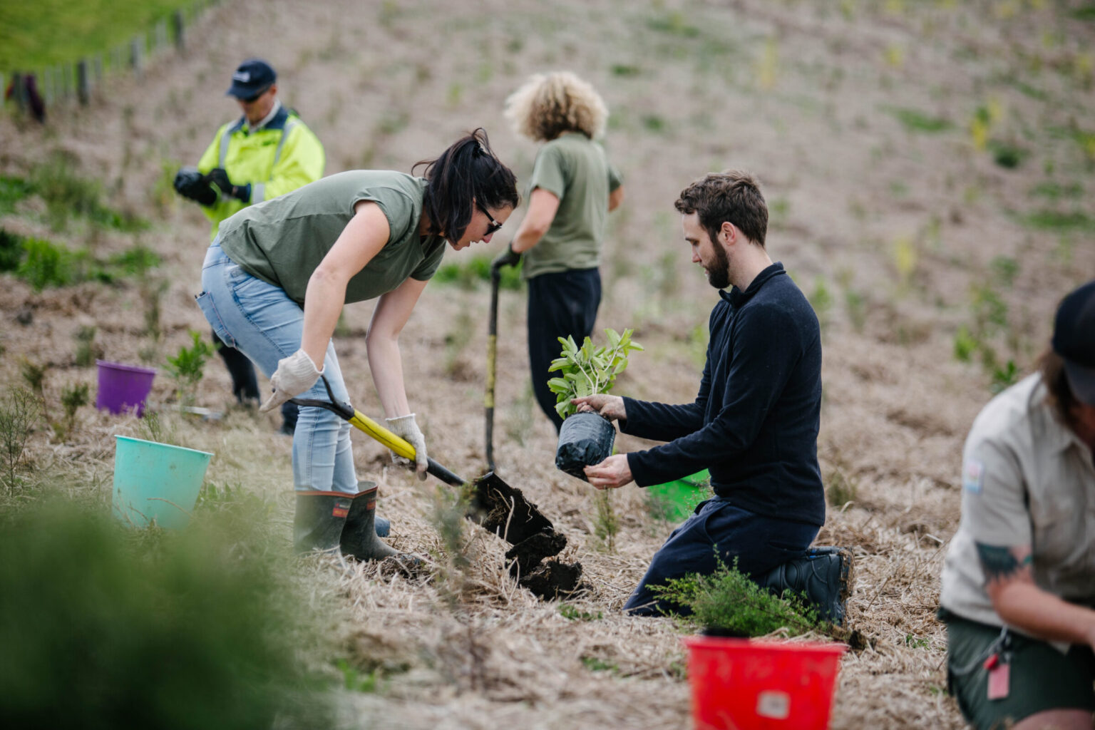 Celebrate Matariki with Dune Planting – Civic Trust Auckland